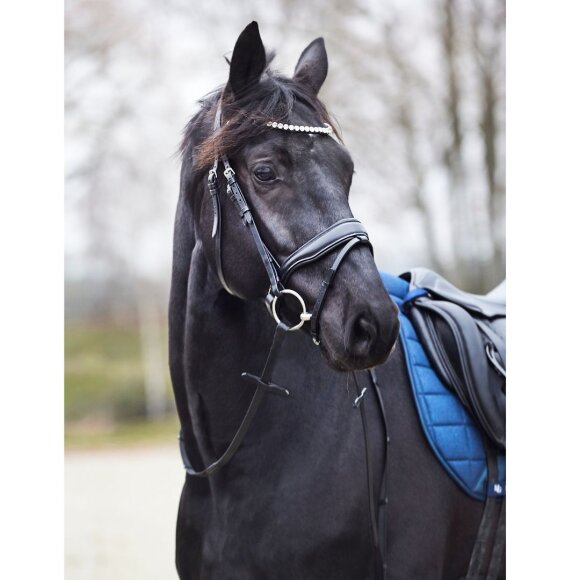 - HorseGuard - Cryll 22.2 trense