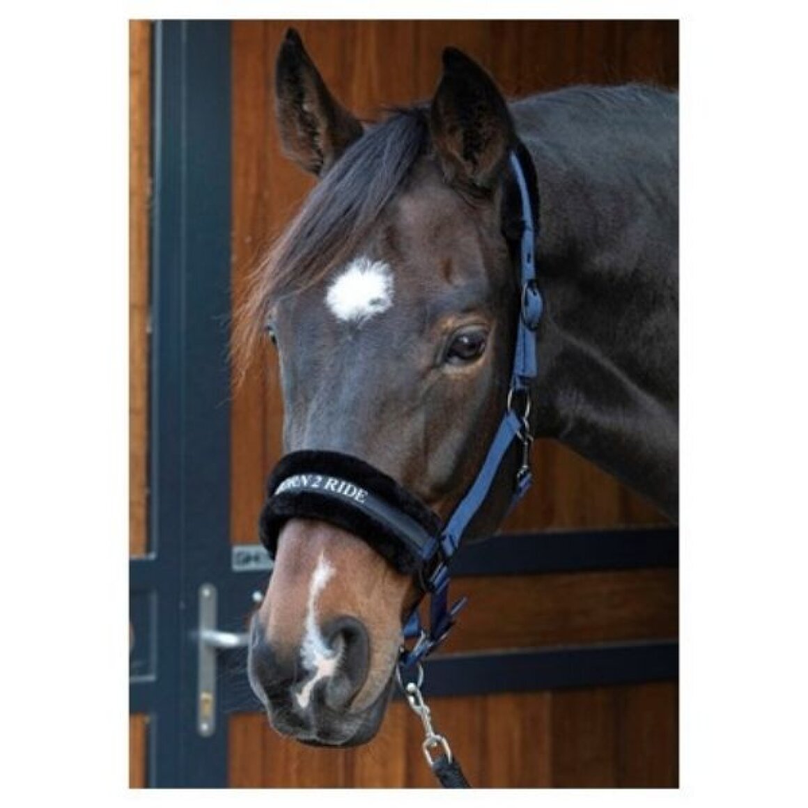 Grimer - Harrys Horse - Lyrics quotes grime